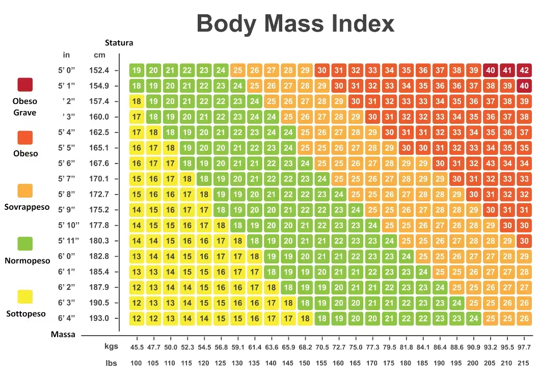 Analisi della Composizione Corporea: quali sono i suoi parametri ...