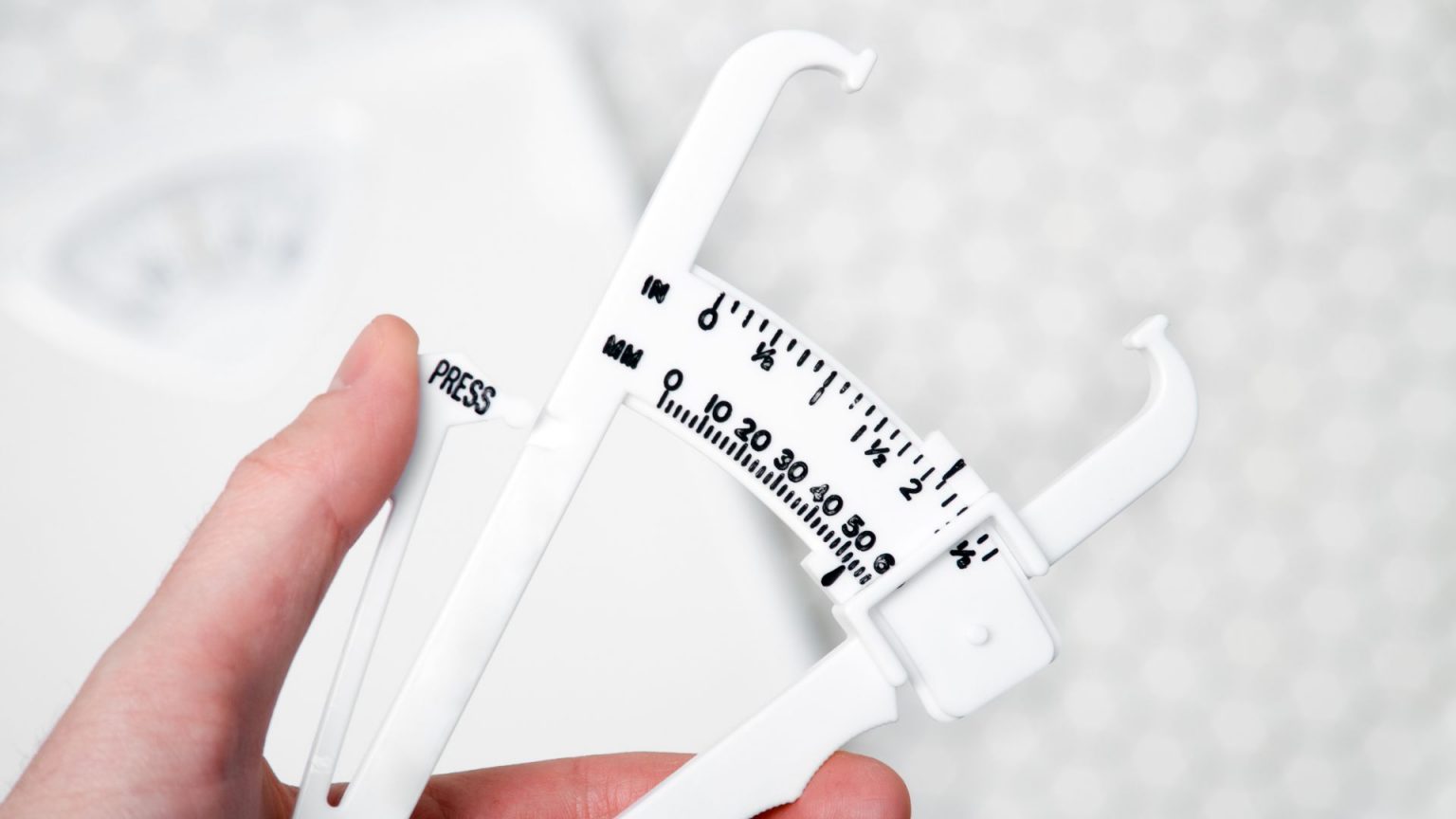 Analisi della Composizione Corporea: quali sono i suoi parametri ...